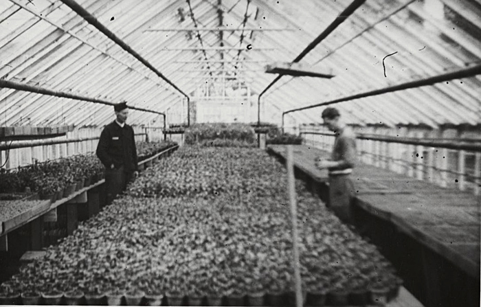 Grini fangeleir og Grinimuseet