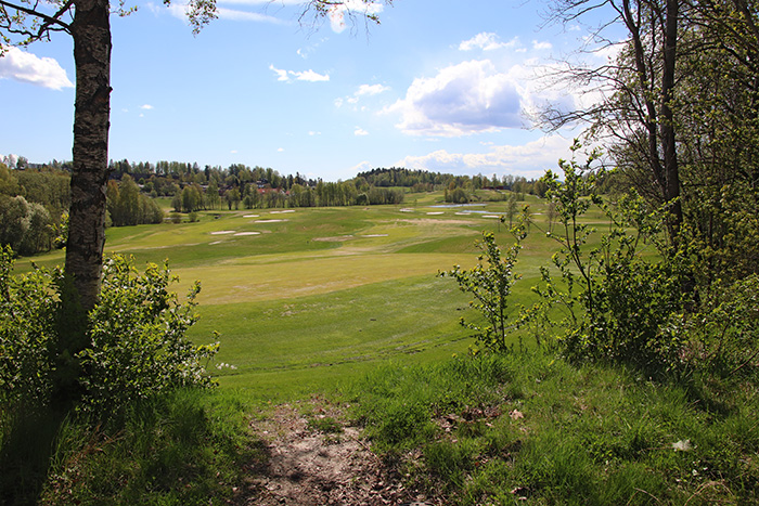 Haga Golf