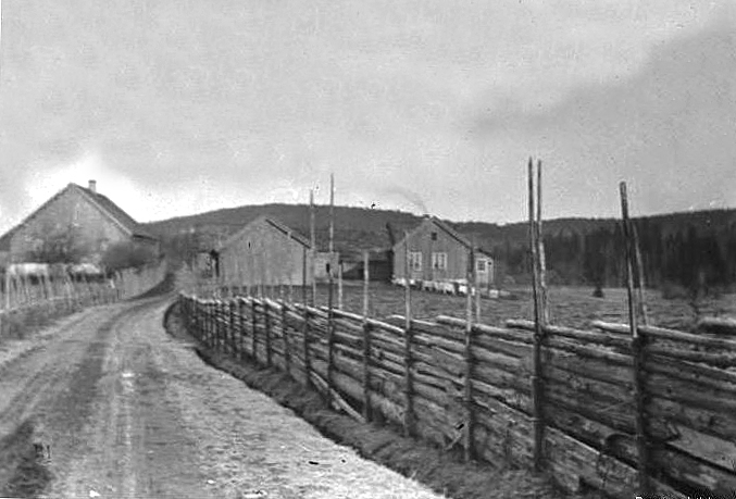 Grorud