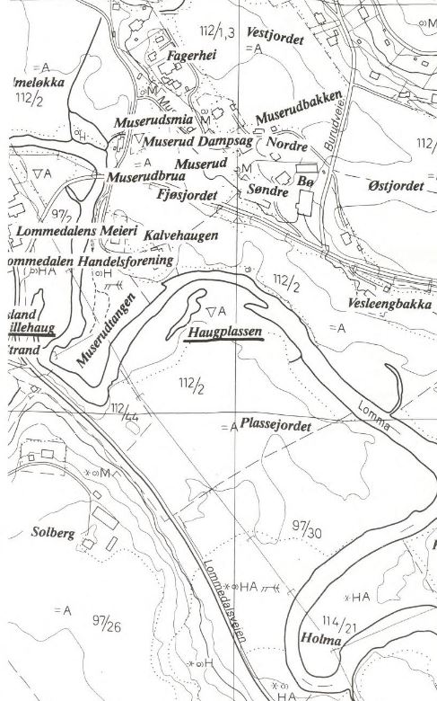 Detaljkart for området omkring Haug