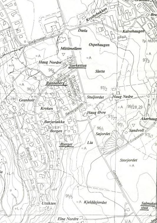 Detaljkart for området omkring Haug